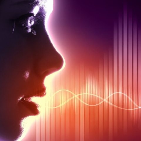 Architecture And Vocal Harmonics, Getting The Bones To Sing Video ...